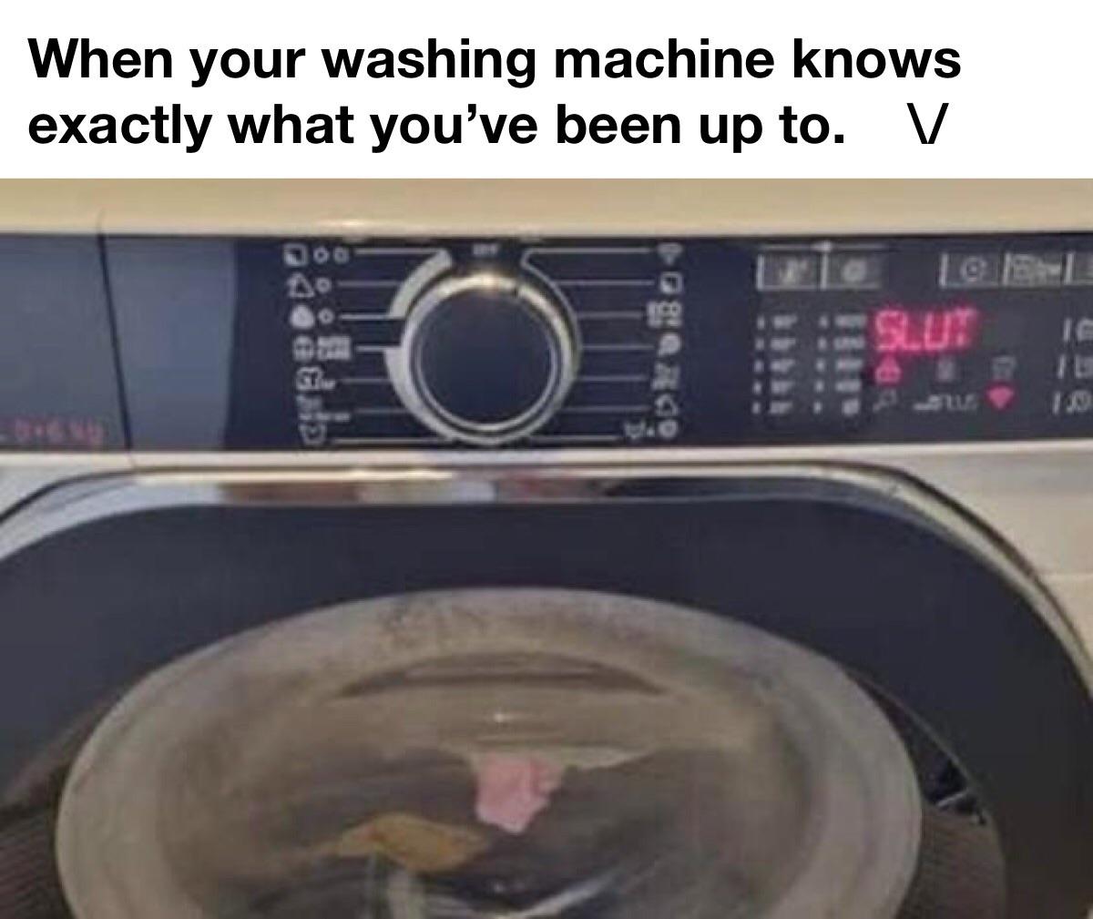 It knows | Scrolller