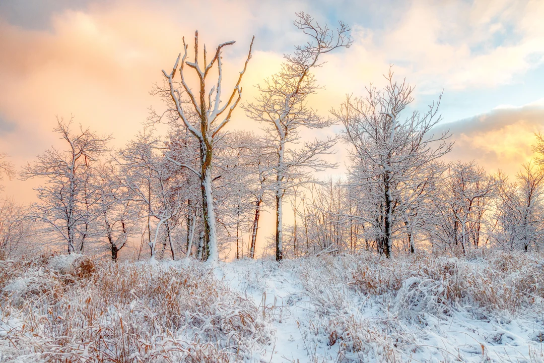 Winter solstice, Northeast PA, USA. | Scrolller