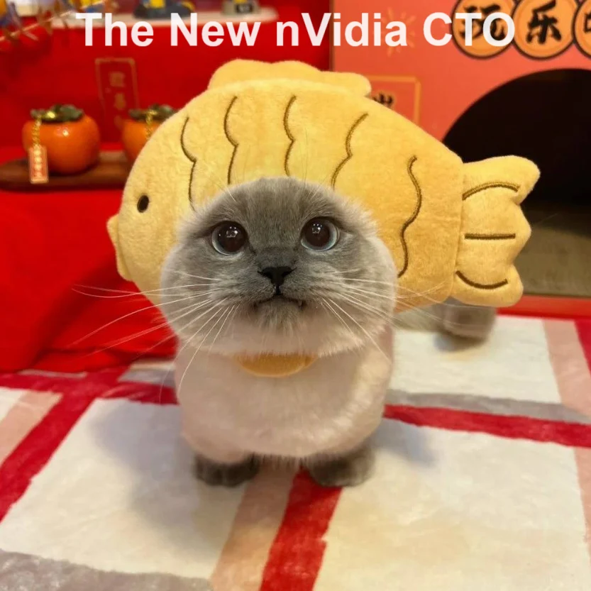 The NEW nVidia CTO | Scrolller