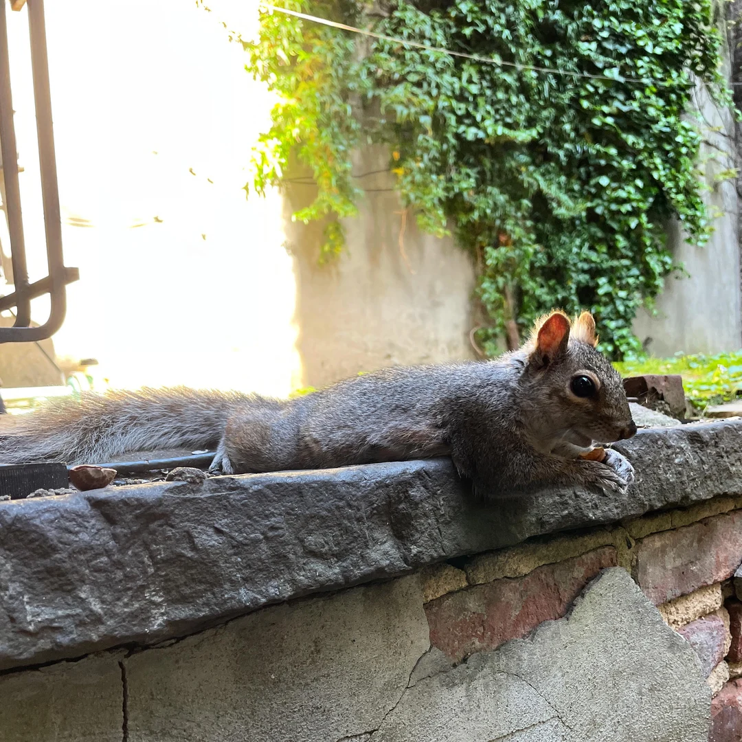 Stretch and snacc | Scrolller