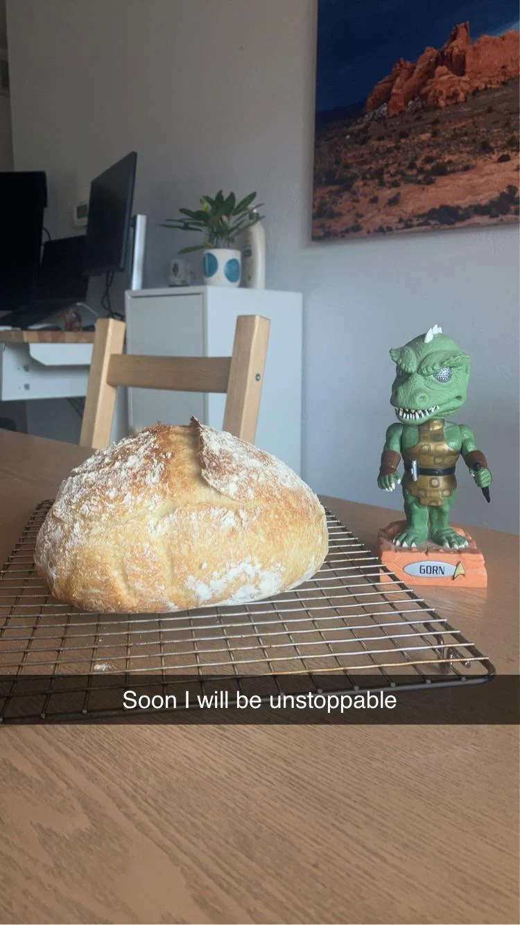 Finally, success with a sourdough loaf! | Scrolller