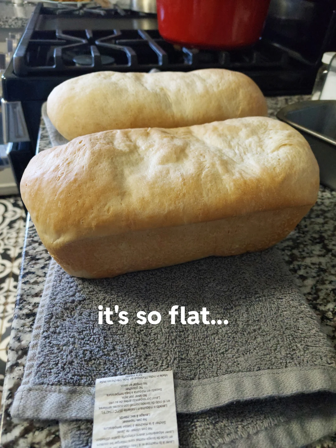 Deflated loaves | Scrolller