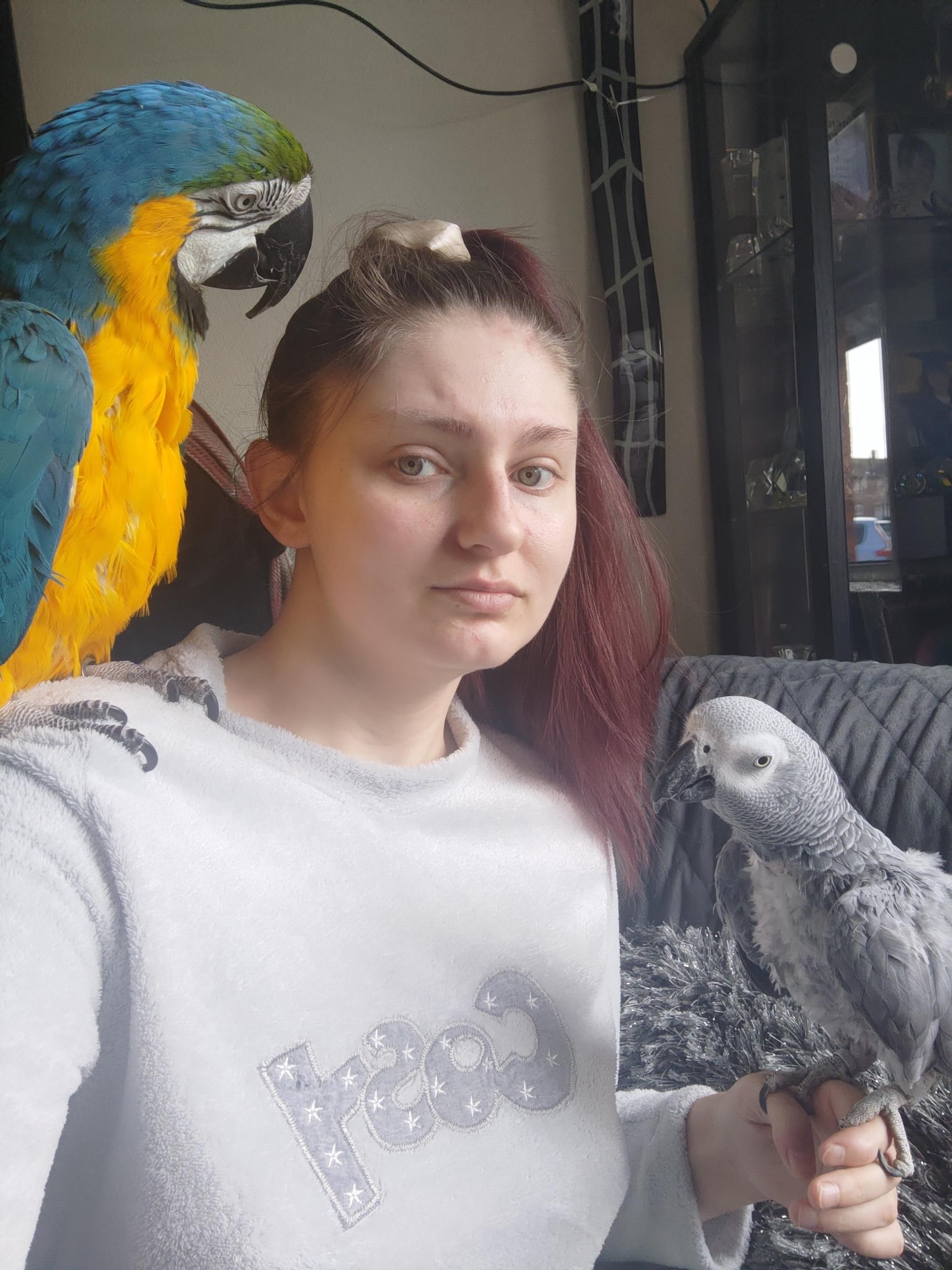 "Mother, what the hell is that thing?" - Vinny | Scrolller