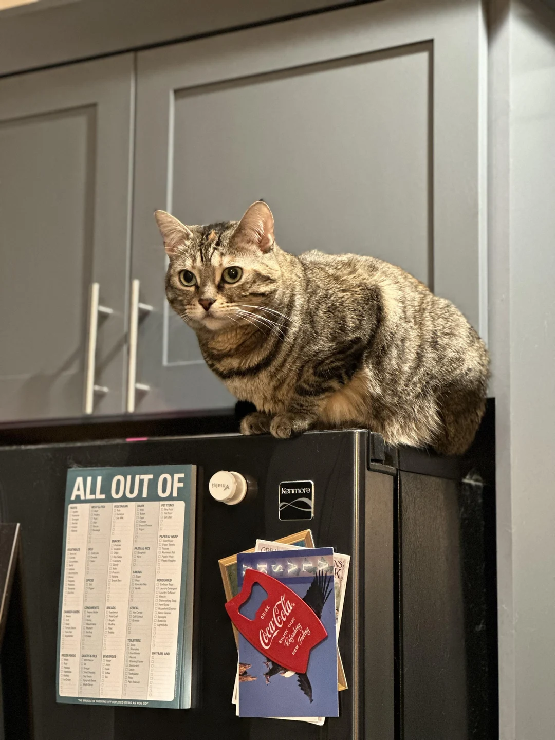 Top of the fridge loaf? | Scrolller