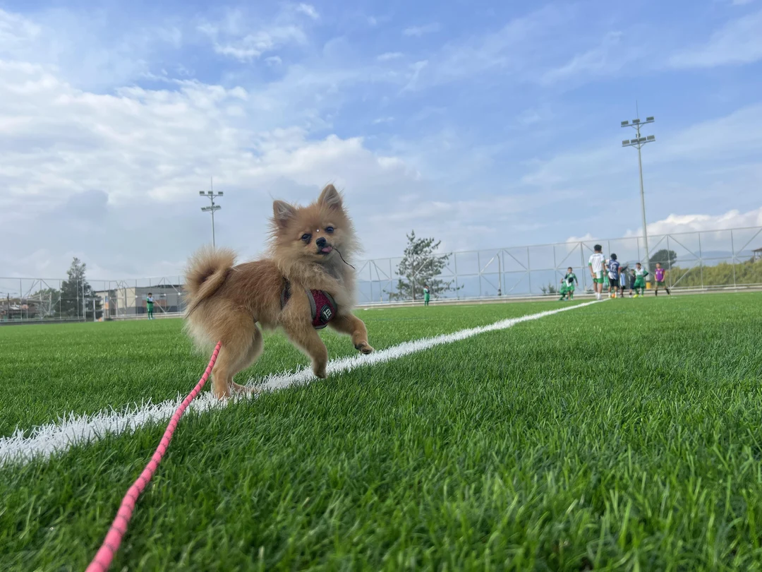 Hermosa mi princesa 👑 | Scrolller