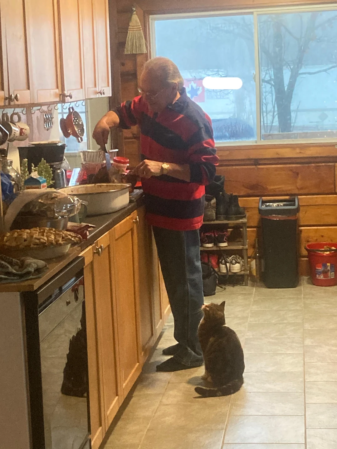 meow and grandpa | Scrolller