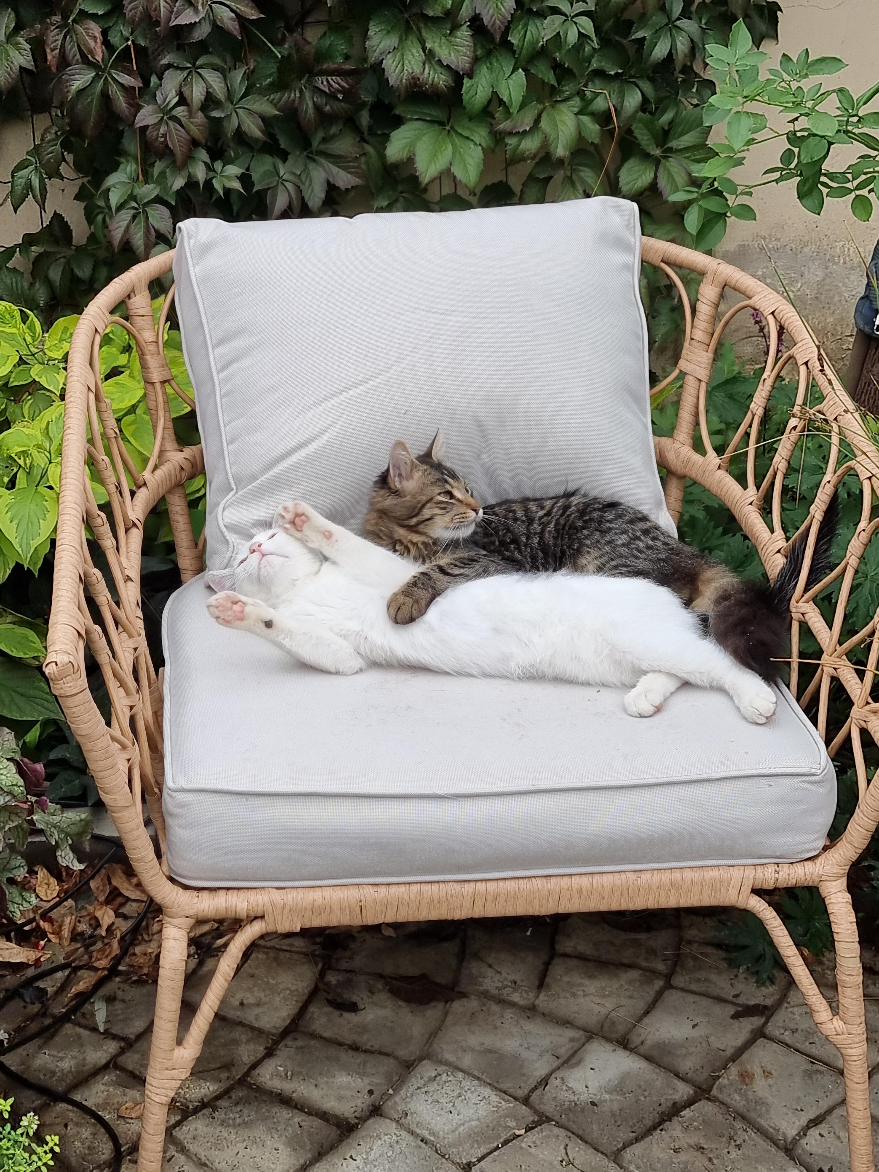 [OC] contemplating life choices | Scrolller