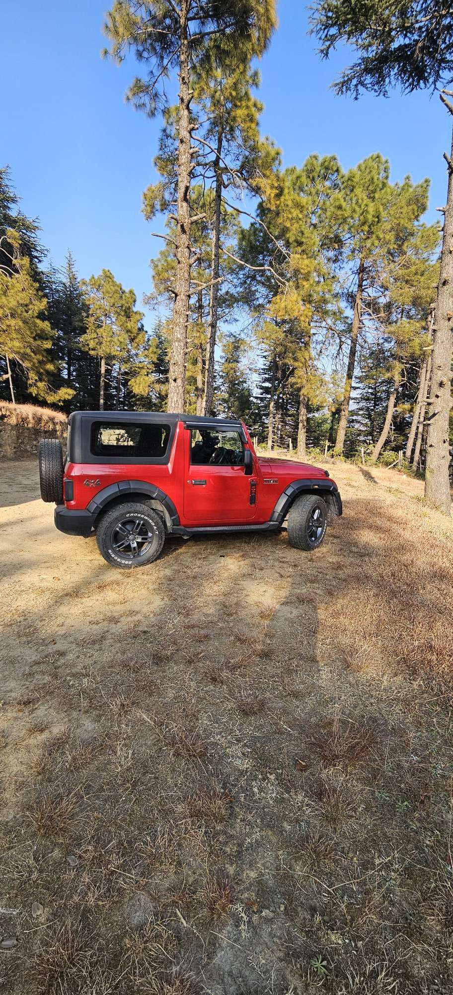 Finally a sunny day in Jungle. | Scrolller