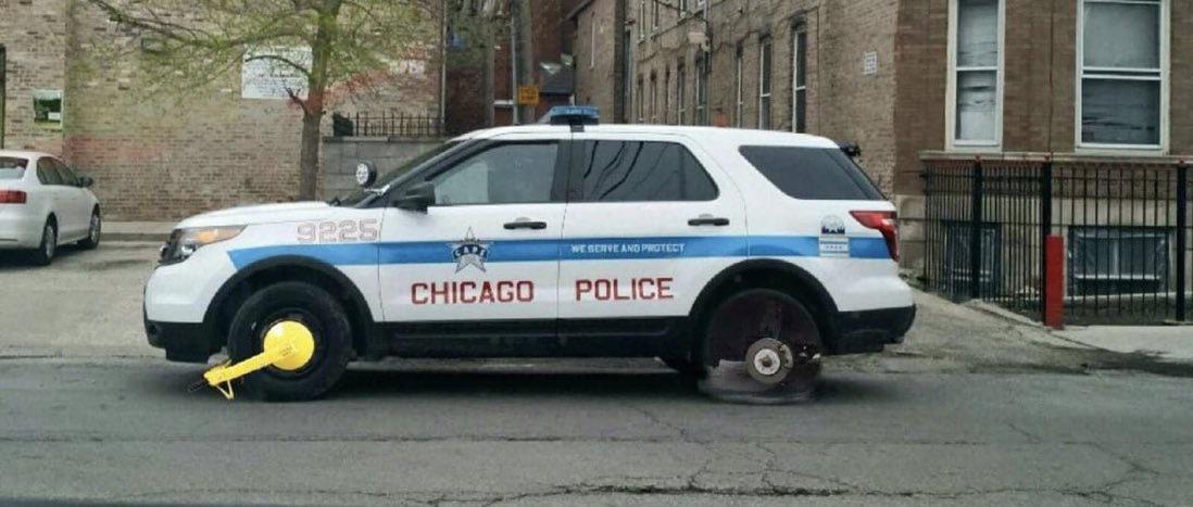 Meanwhile... | Scrolller