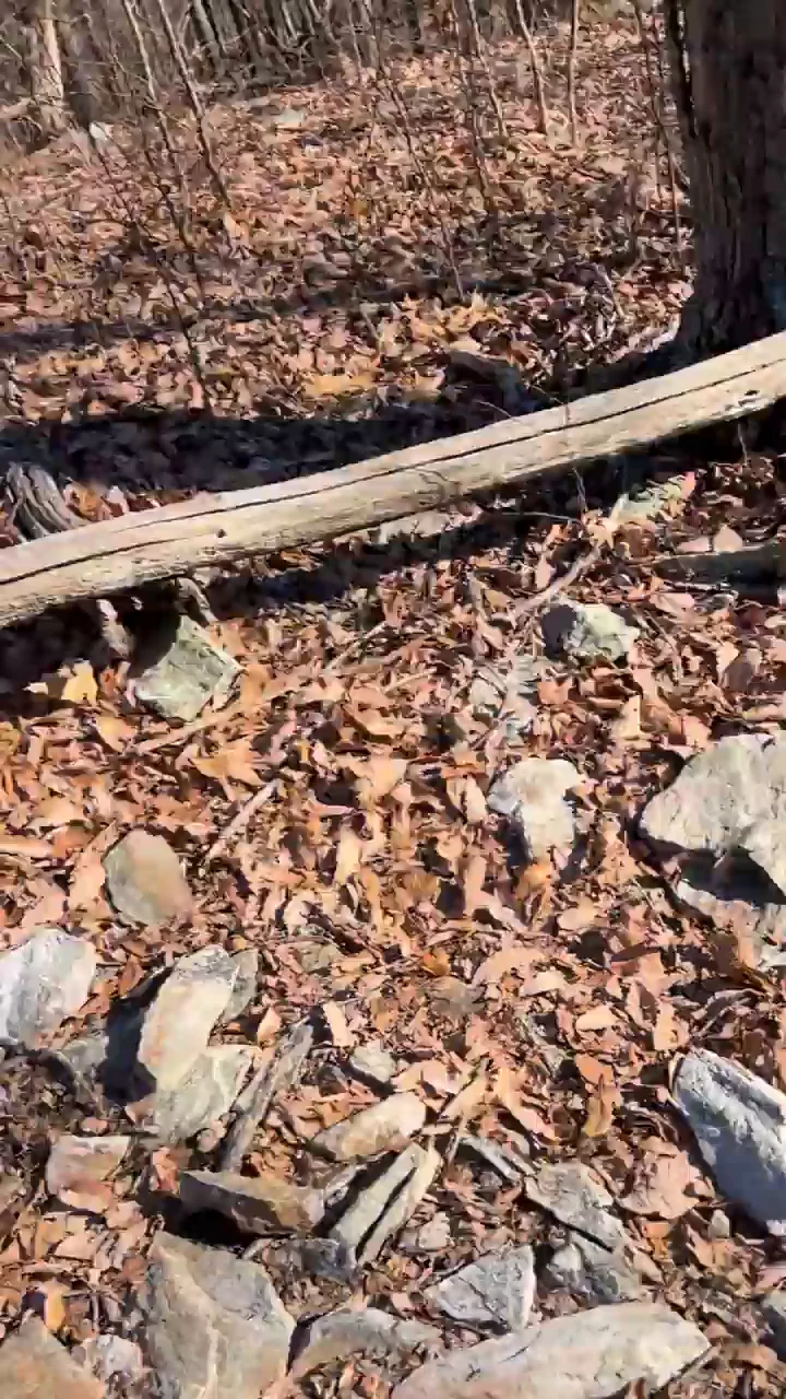 Is this normal behavior? | Scrolller