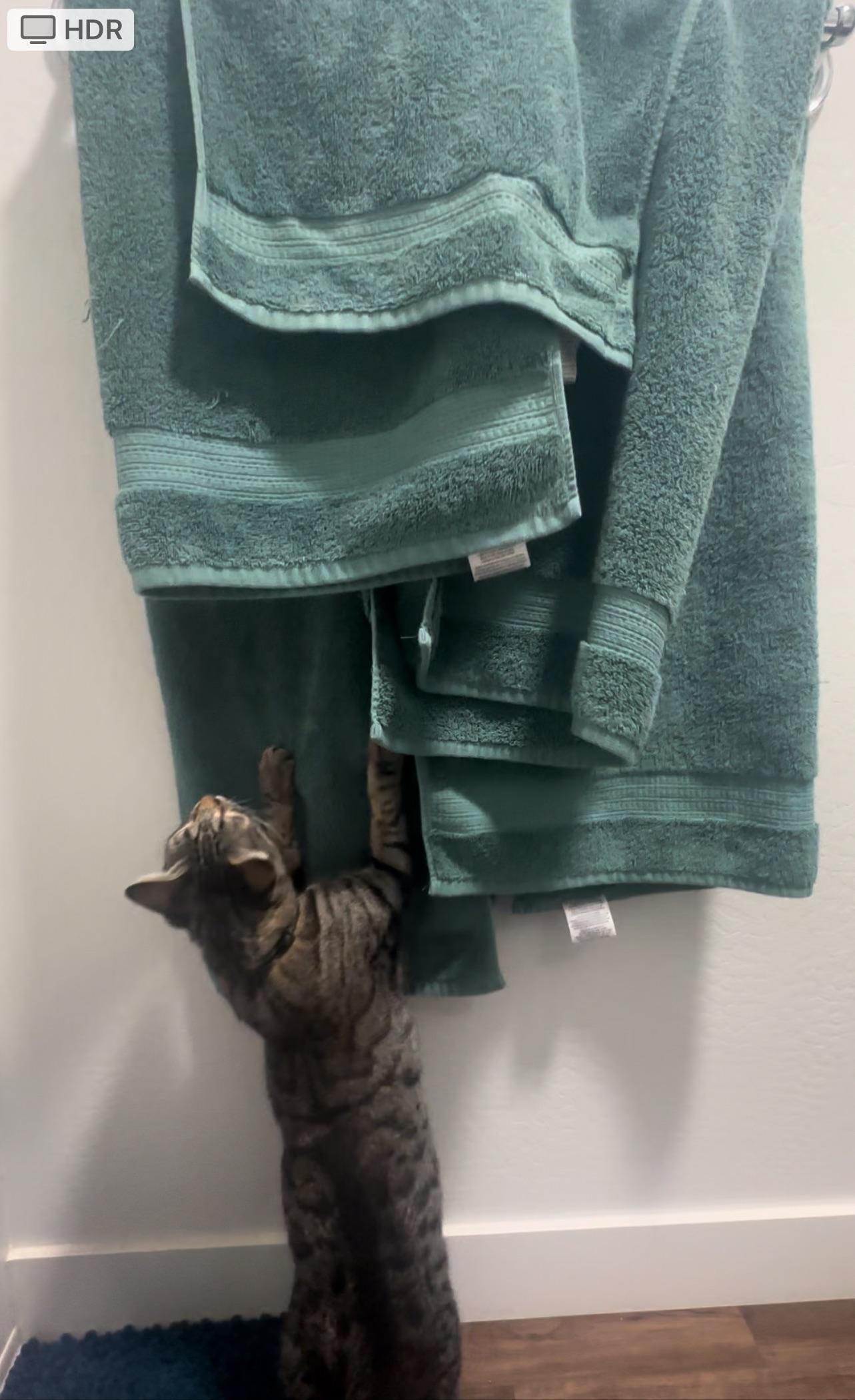 Mystery solved | Scrolller