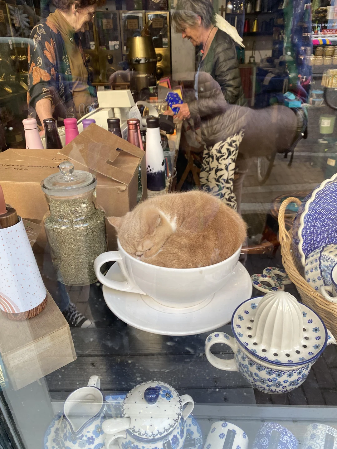 Afternoon tea? | Scrolller