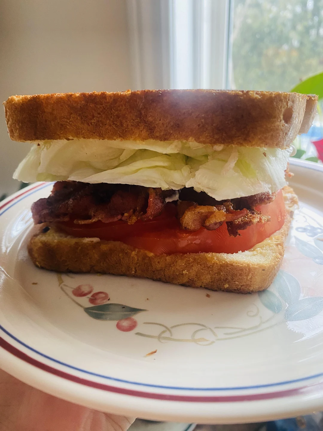 Homemade BLT made with grilled cheese for that added extra crispness 🤤 | Scrolller