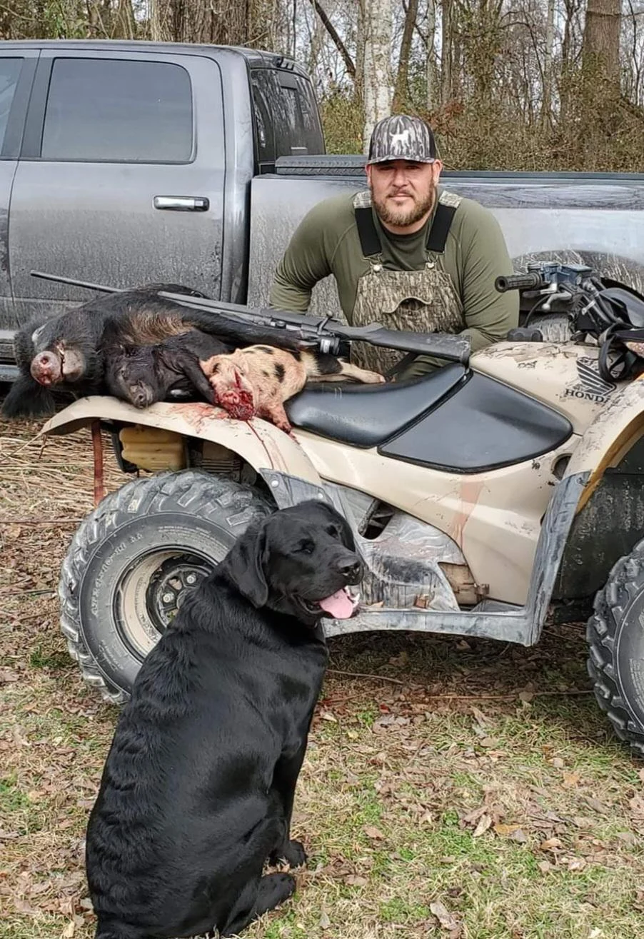 Some hog management. | Scrolller