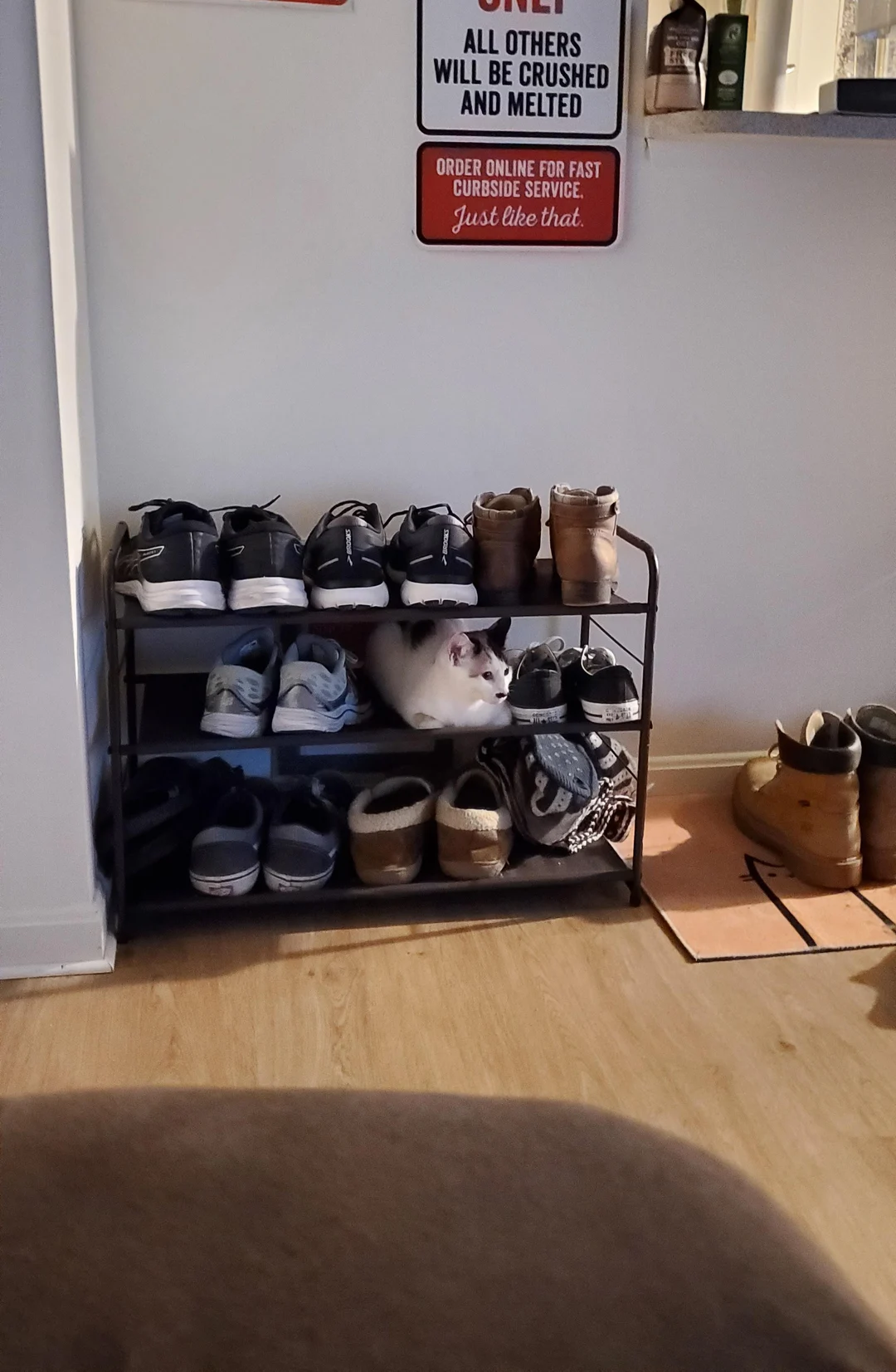 Another shoe for the collection! | Scrolller