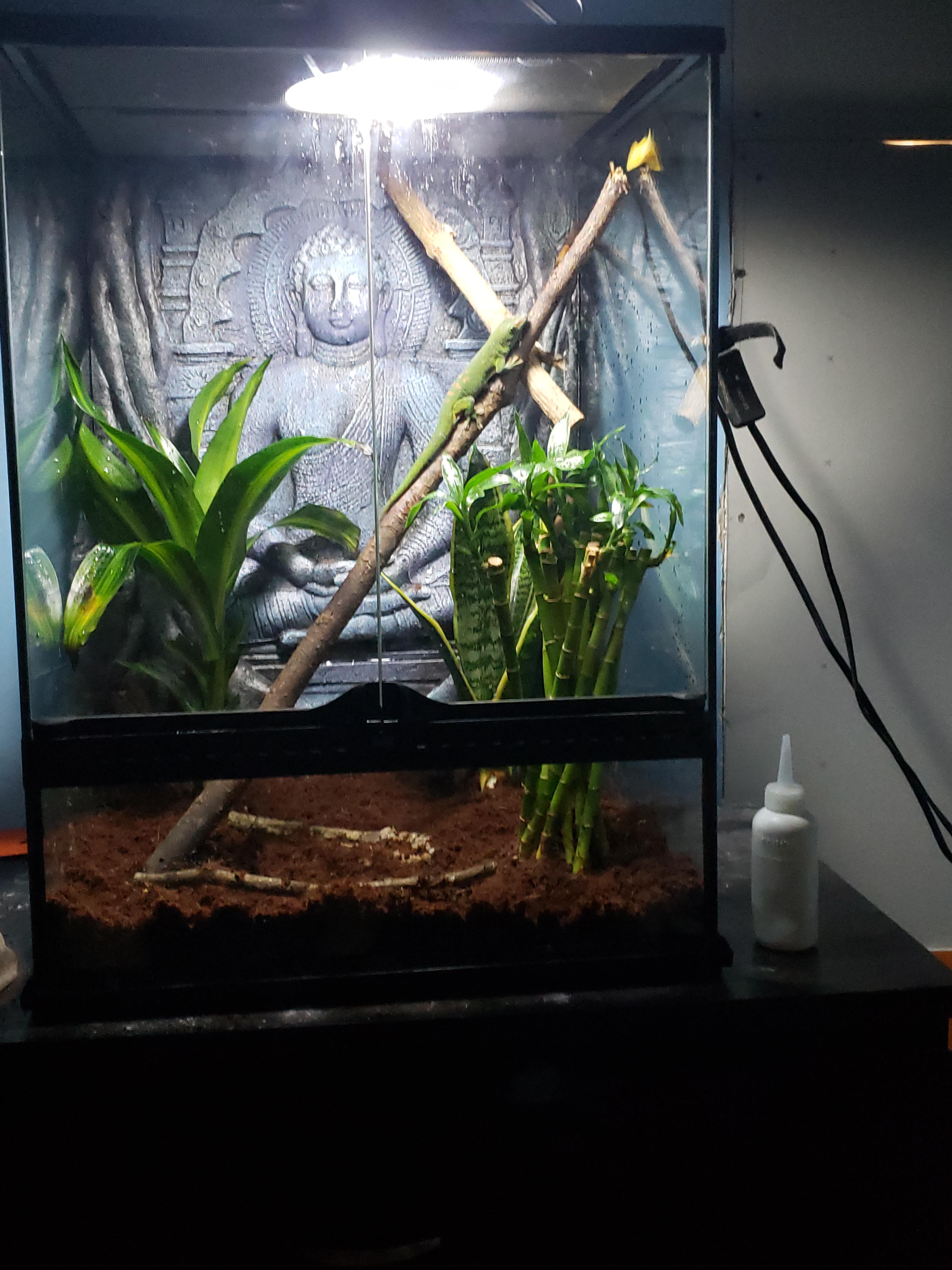 Cage update | Scrolller