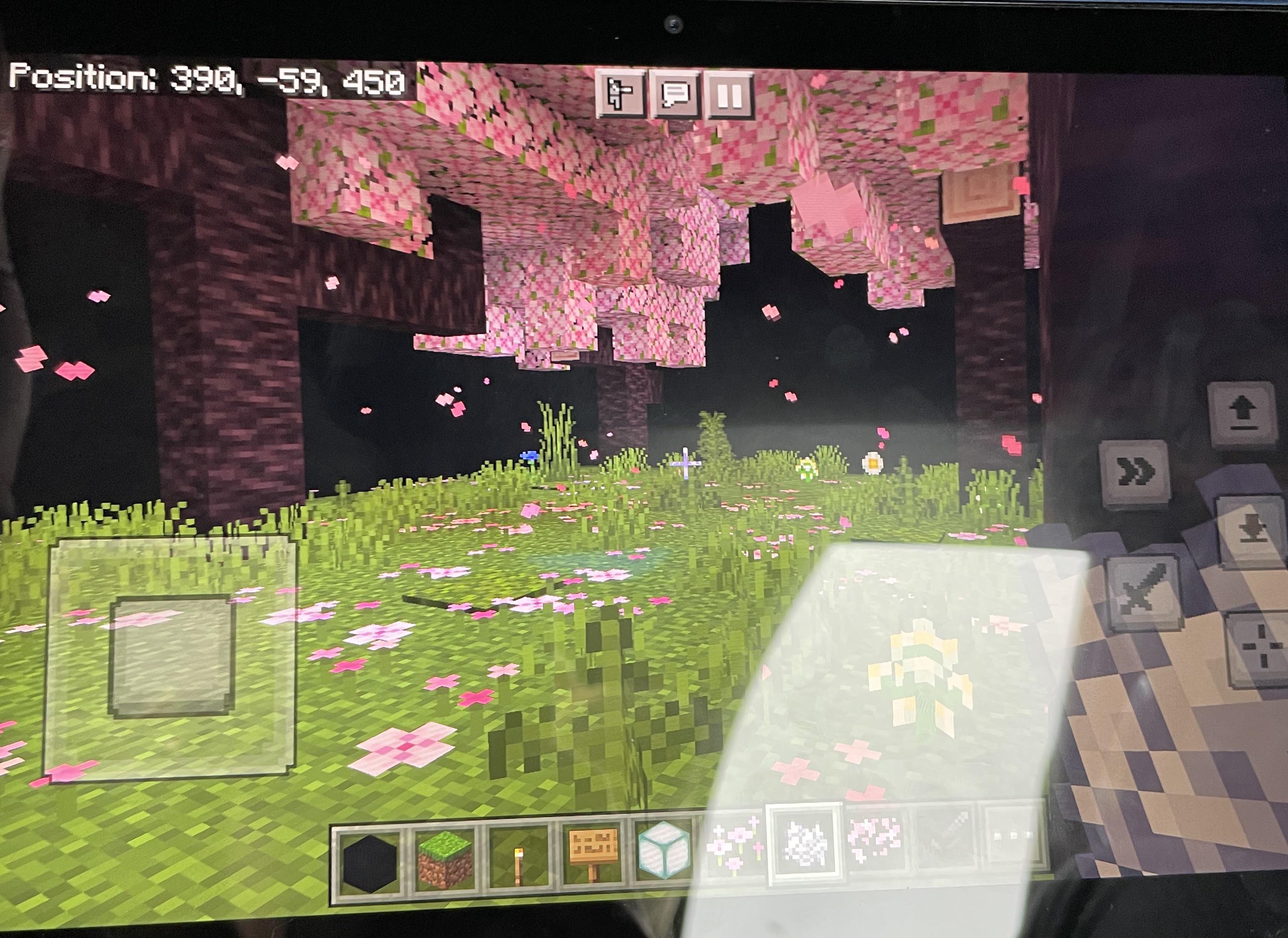 Cherry Blossom biome in my map | Scrolller