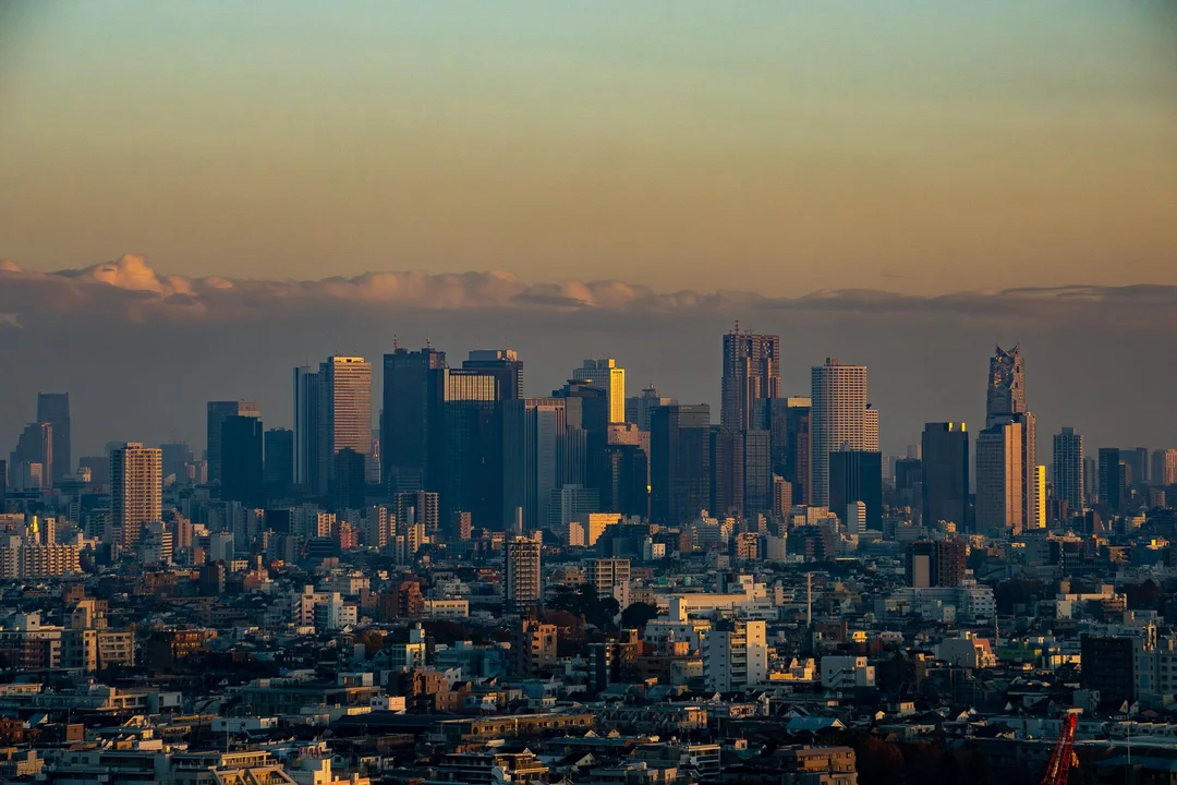 Shinjuku Skyline, Tokyo, Japan | Scrolller