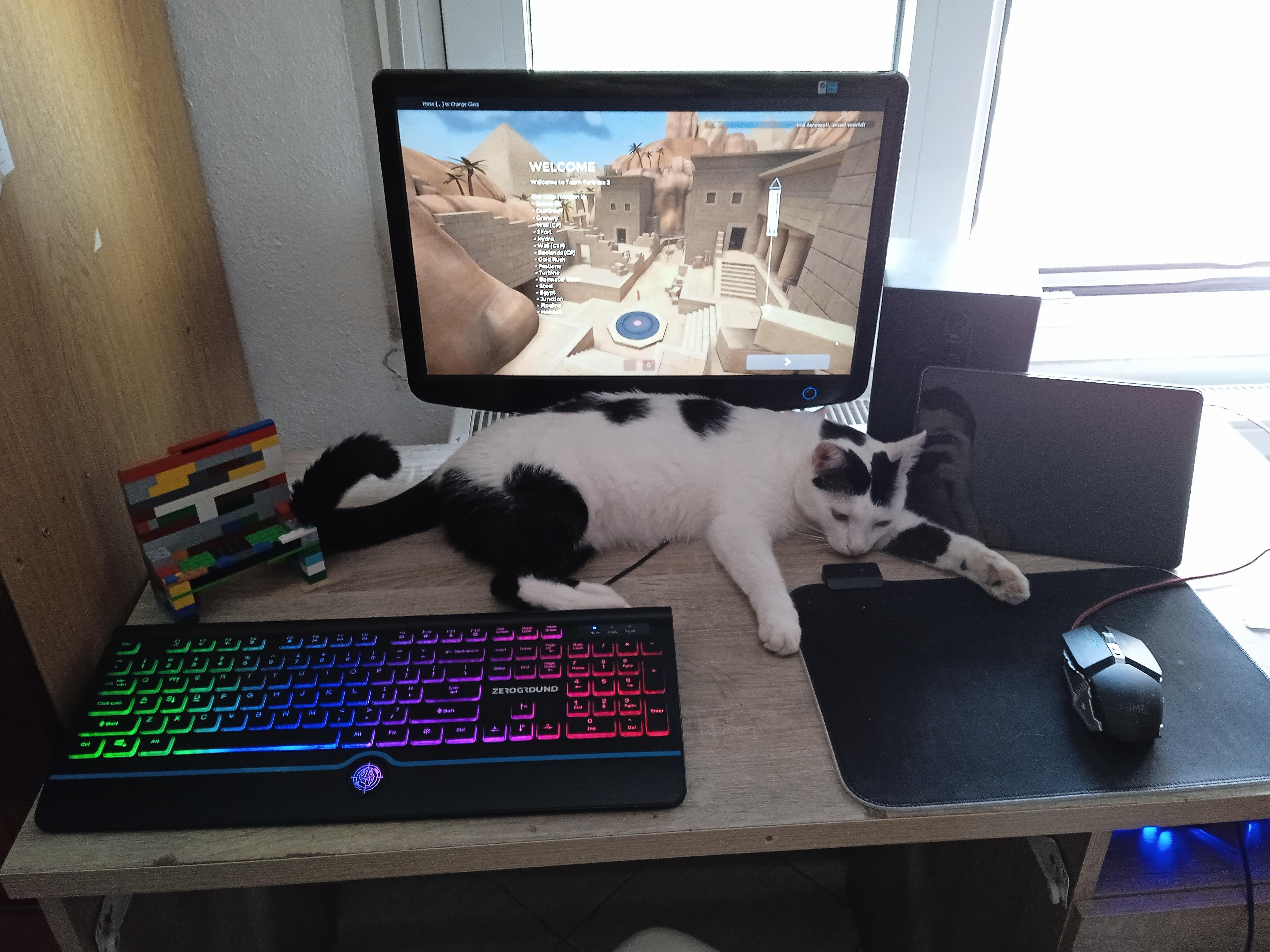 Perfect gaming setup | Scrolller