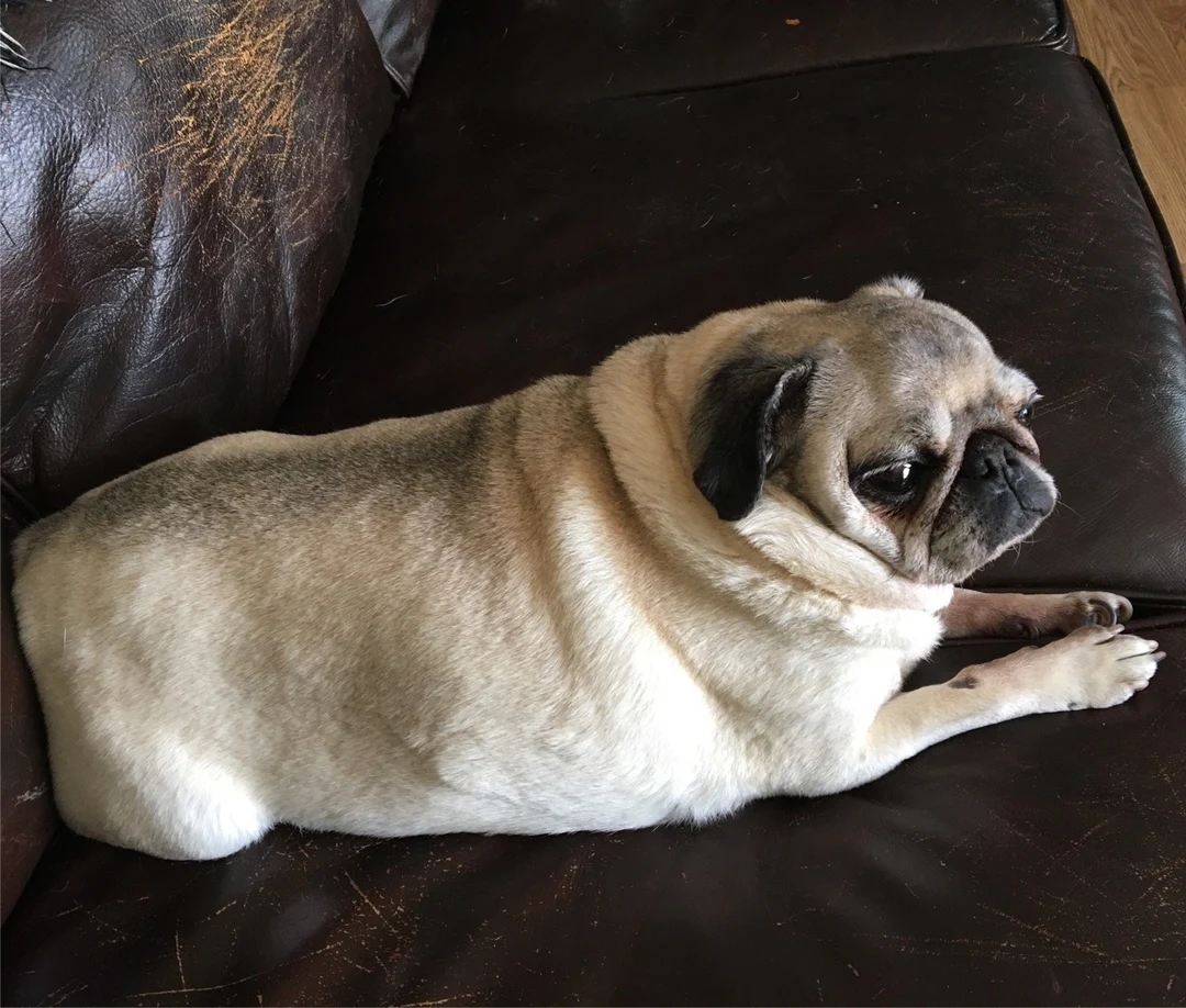 Here’s a break from your regularly scheduled Gimli programming to make you look at Sunny. Sunny ...