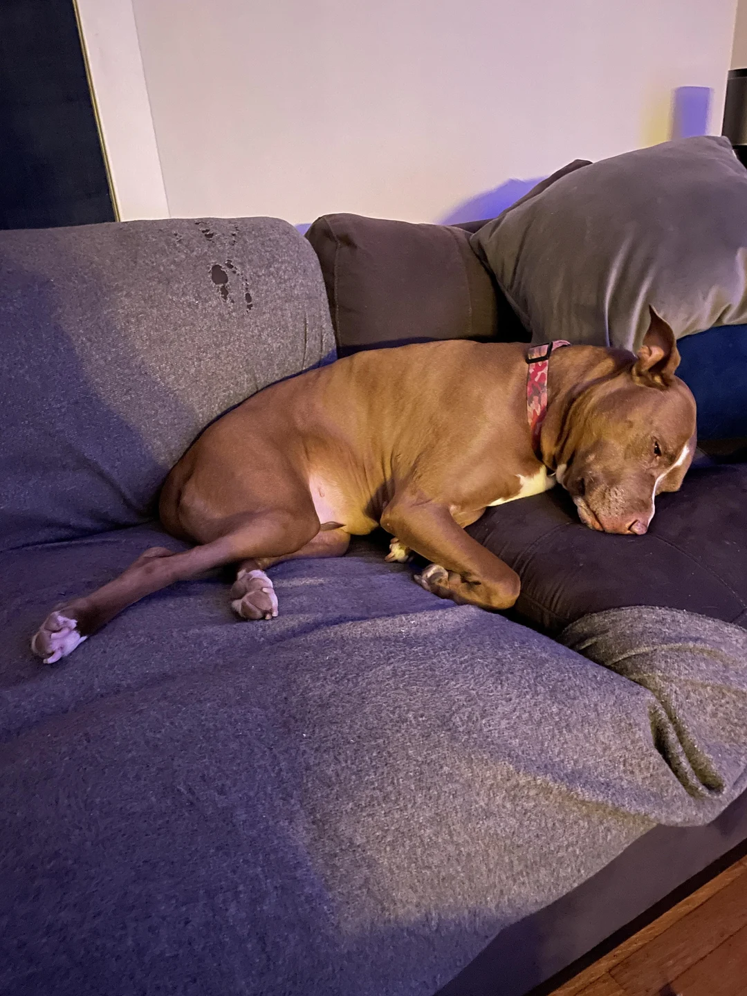 mid-existential crisis | Scrolller