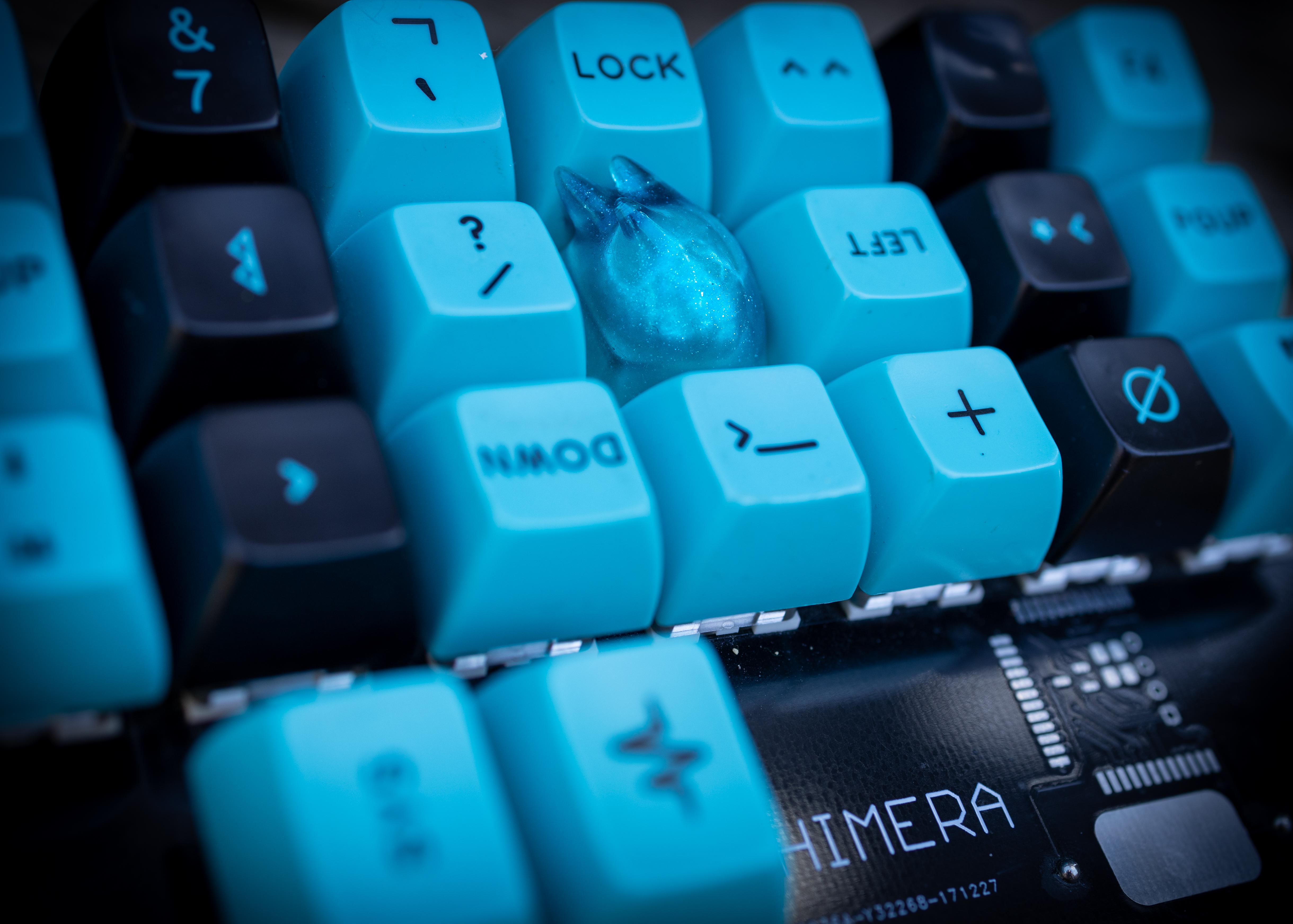 keyboard pov | Scrolller