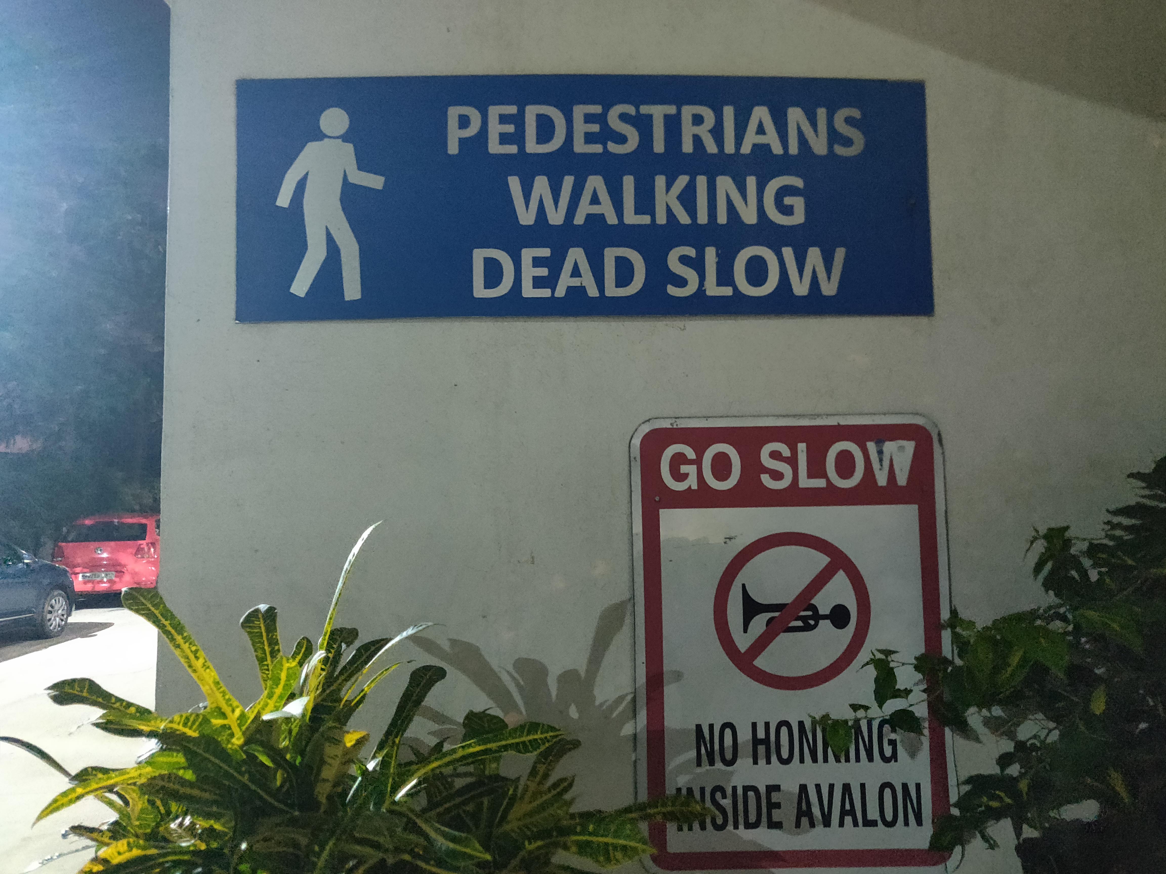 Did someone say 'Walking Dead'? | Scrolller