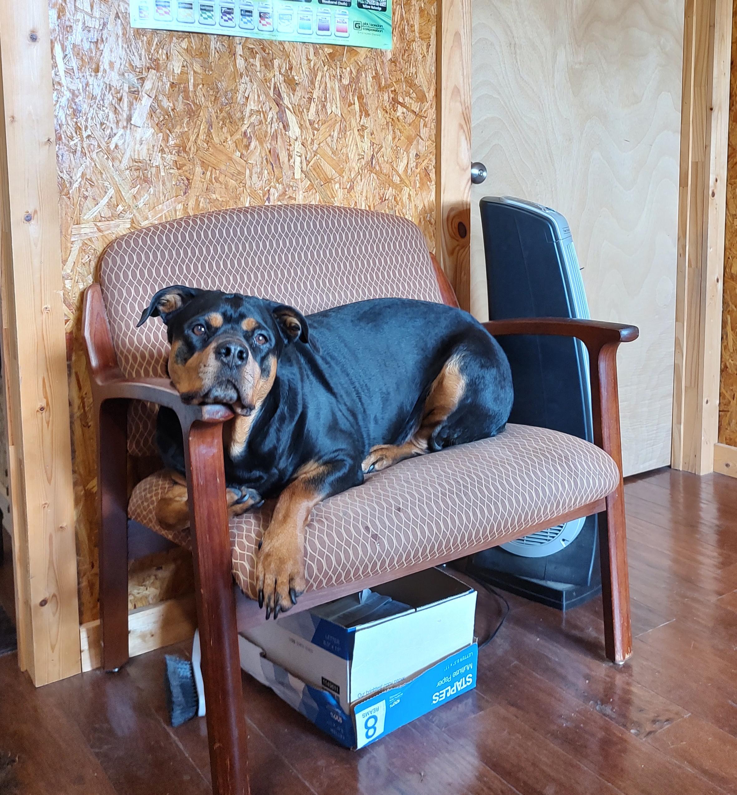 Eris the office Rott | Scrolller