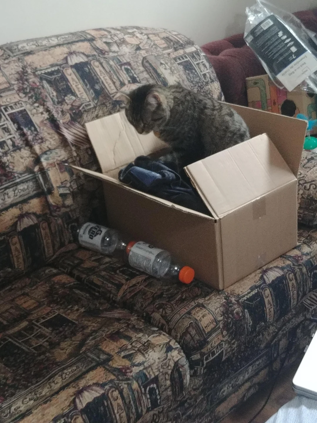 Even full traps work | Scrolller