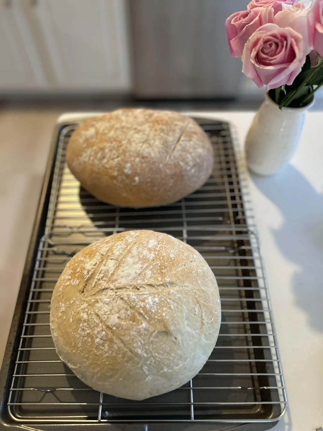Couple of crusty loaves for the week | Scrolller