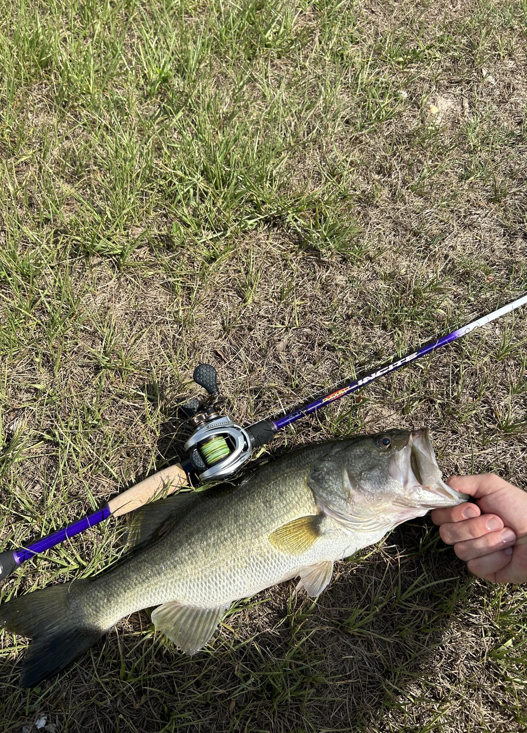 First fish on the new rig | Scrolller
