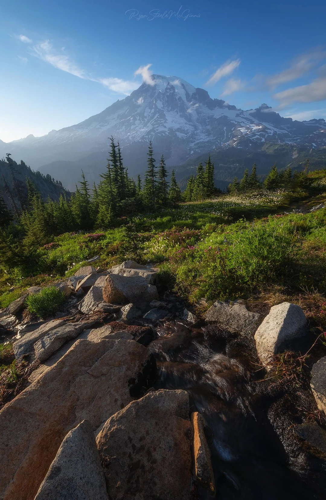 Summer evening in Mt. Rainier National Park, Washington [OC][1174x1800] | Scrolller