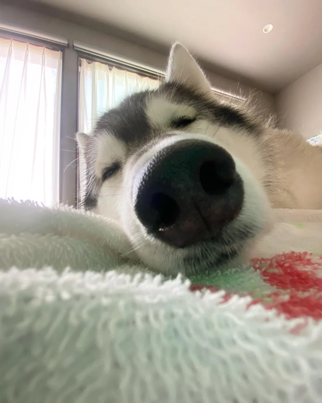 I don't know that I'm growing up so fast! | Scrolller