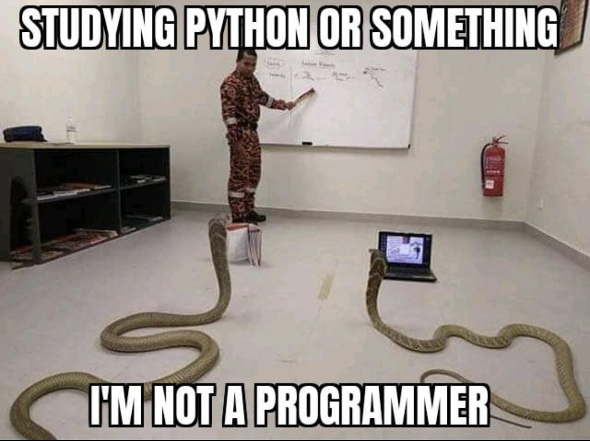 Discover more like Meme: Learning Python 😂 and Related Content | Scrolller
