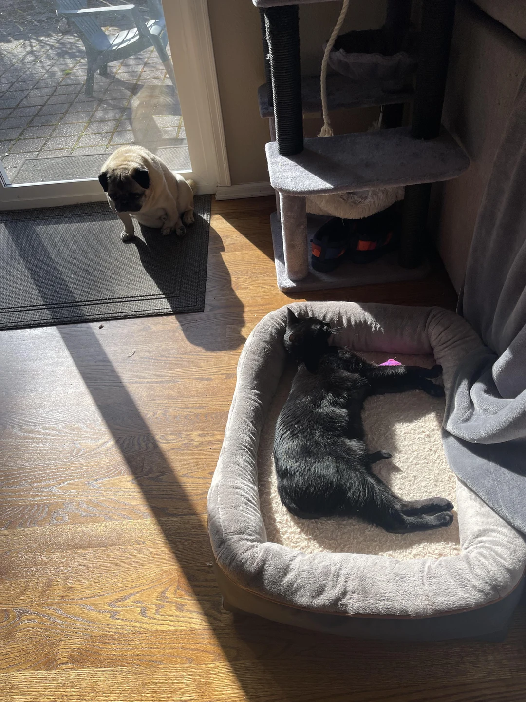 The face of defeat | Scrolller