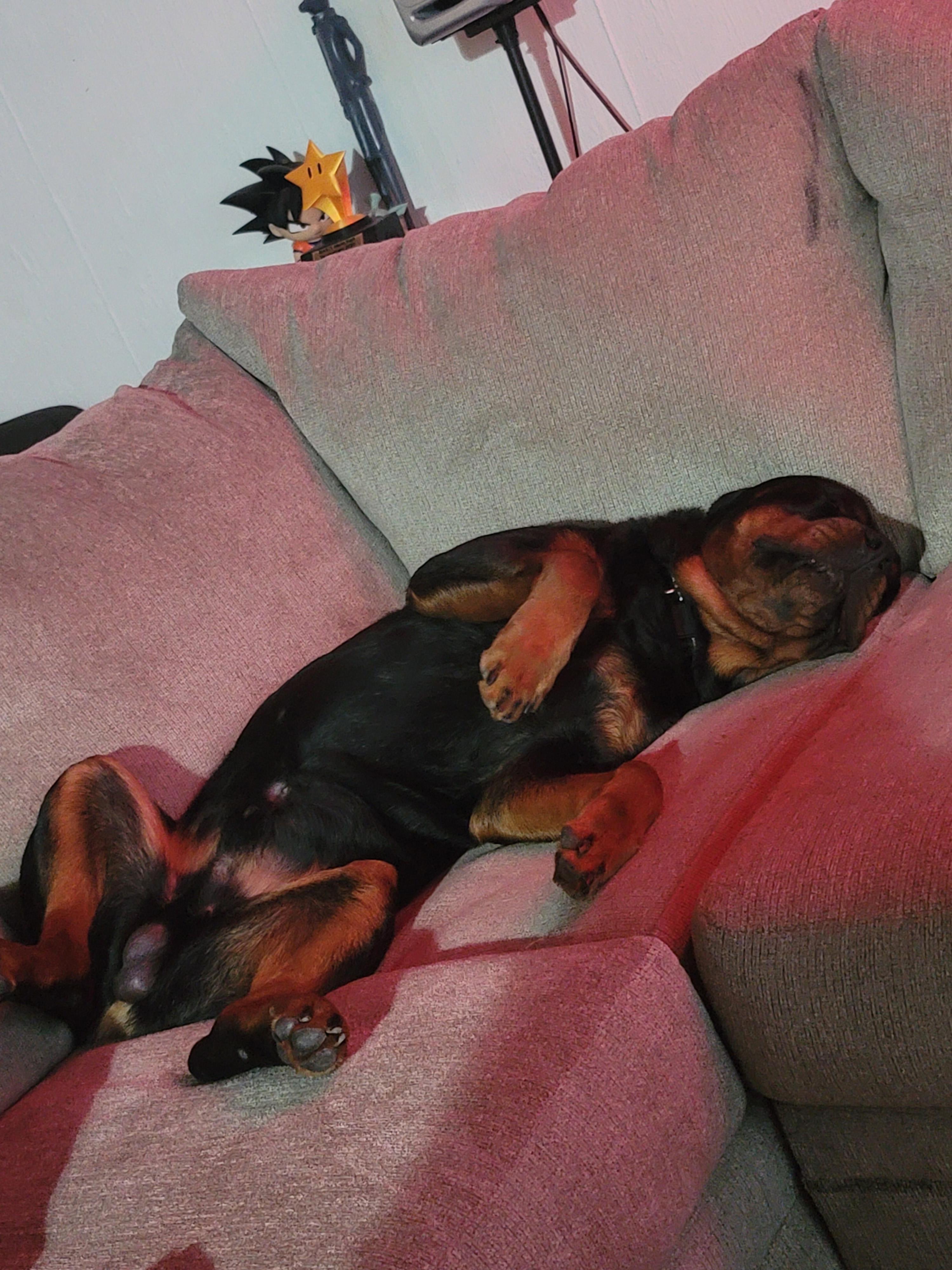 Axle out here living his best life | Scrolller