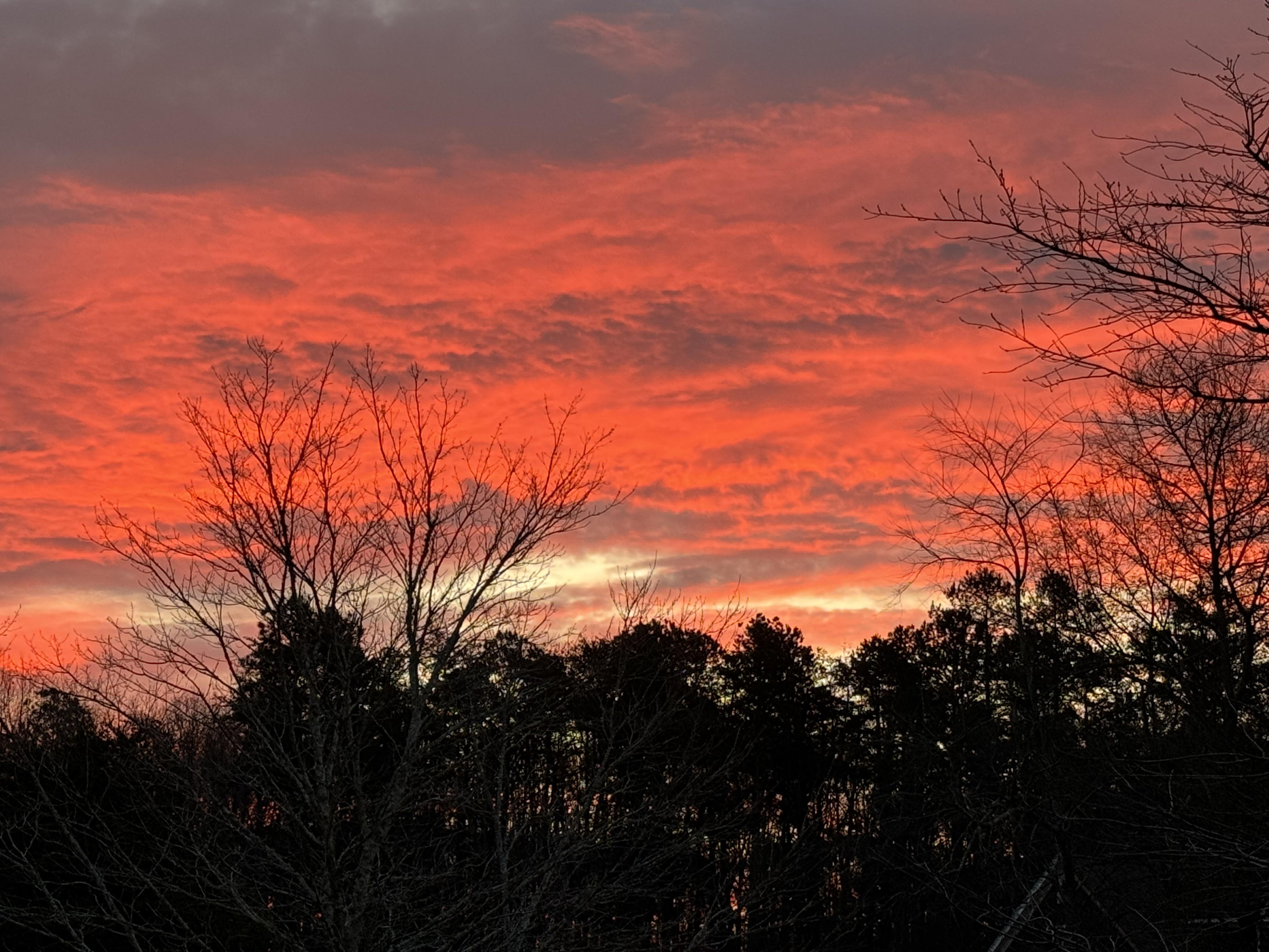 Here’s how 2024 started | Scrolller