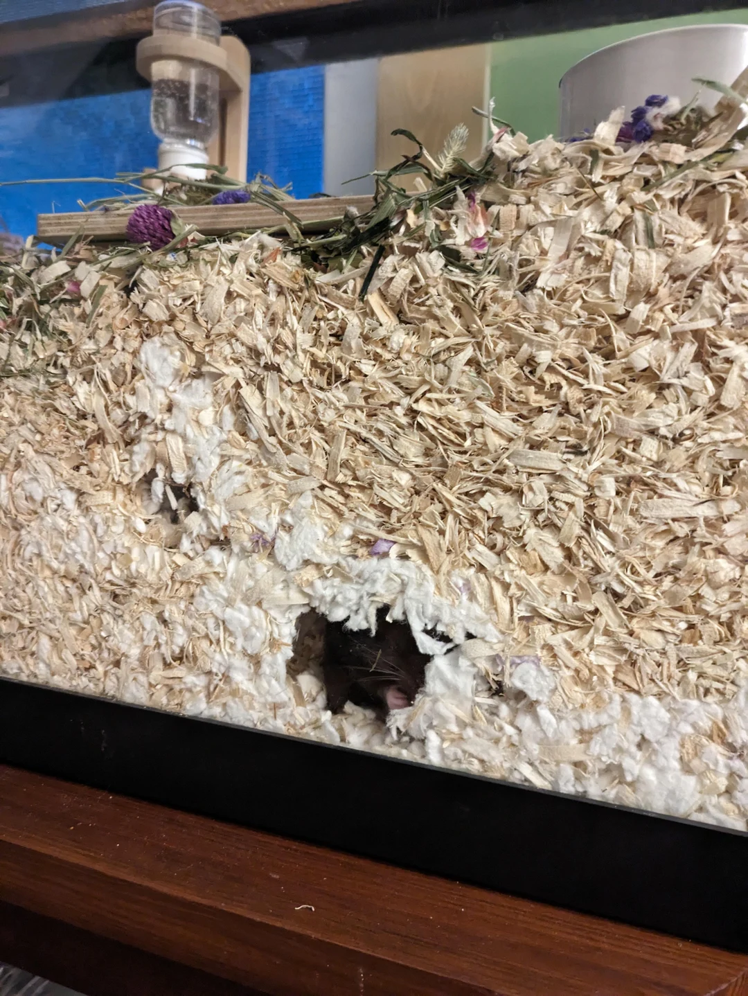 Party in the substrate | Scrolller