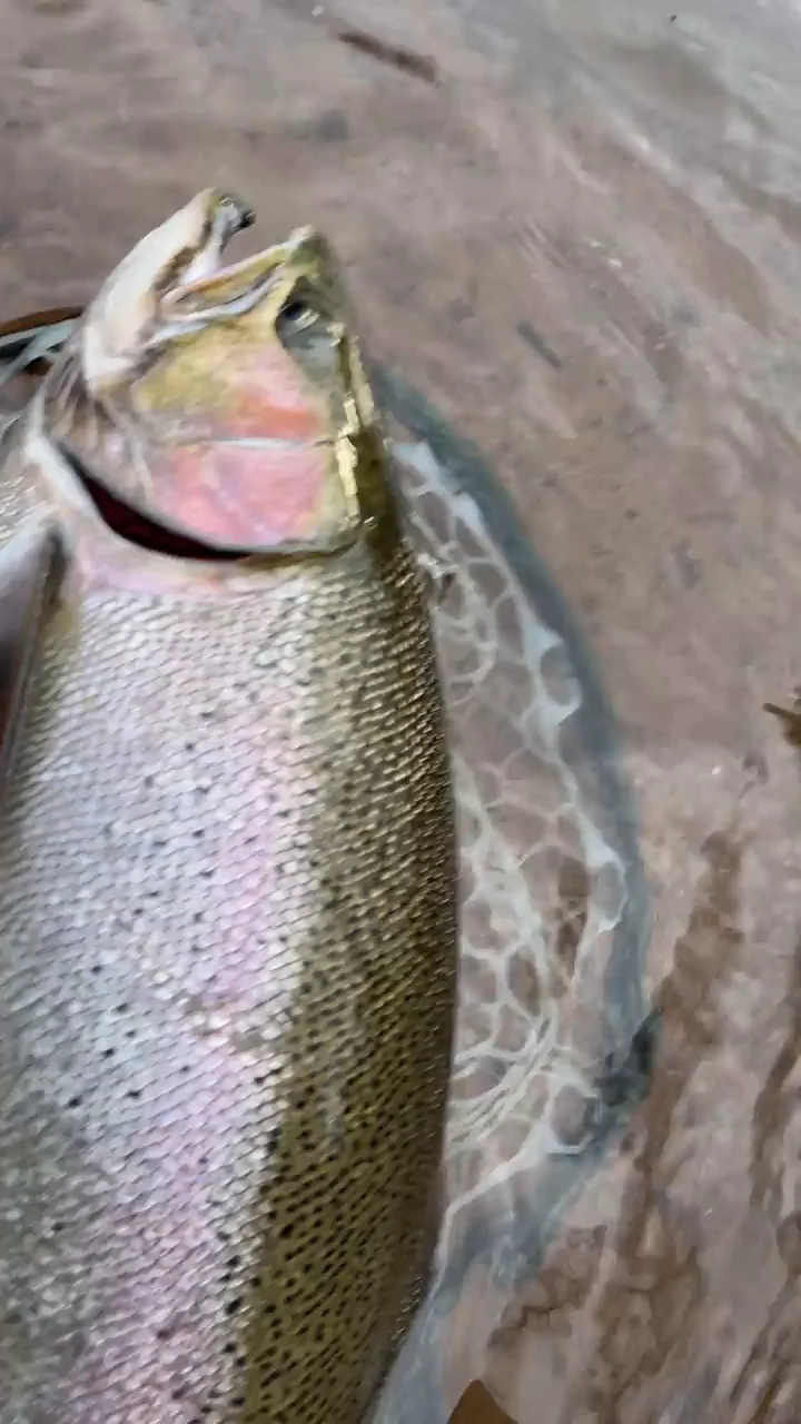 Great Lakes Chrome | Scrolller