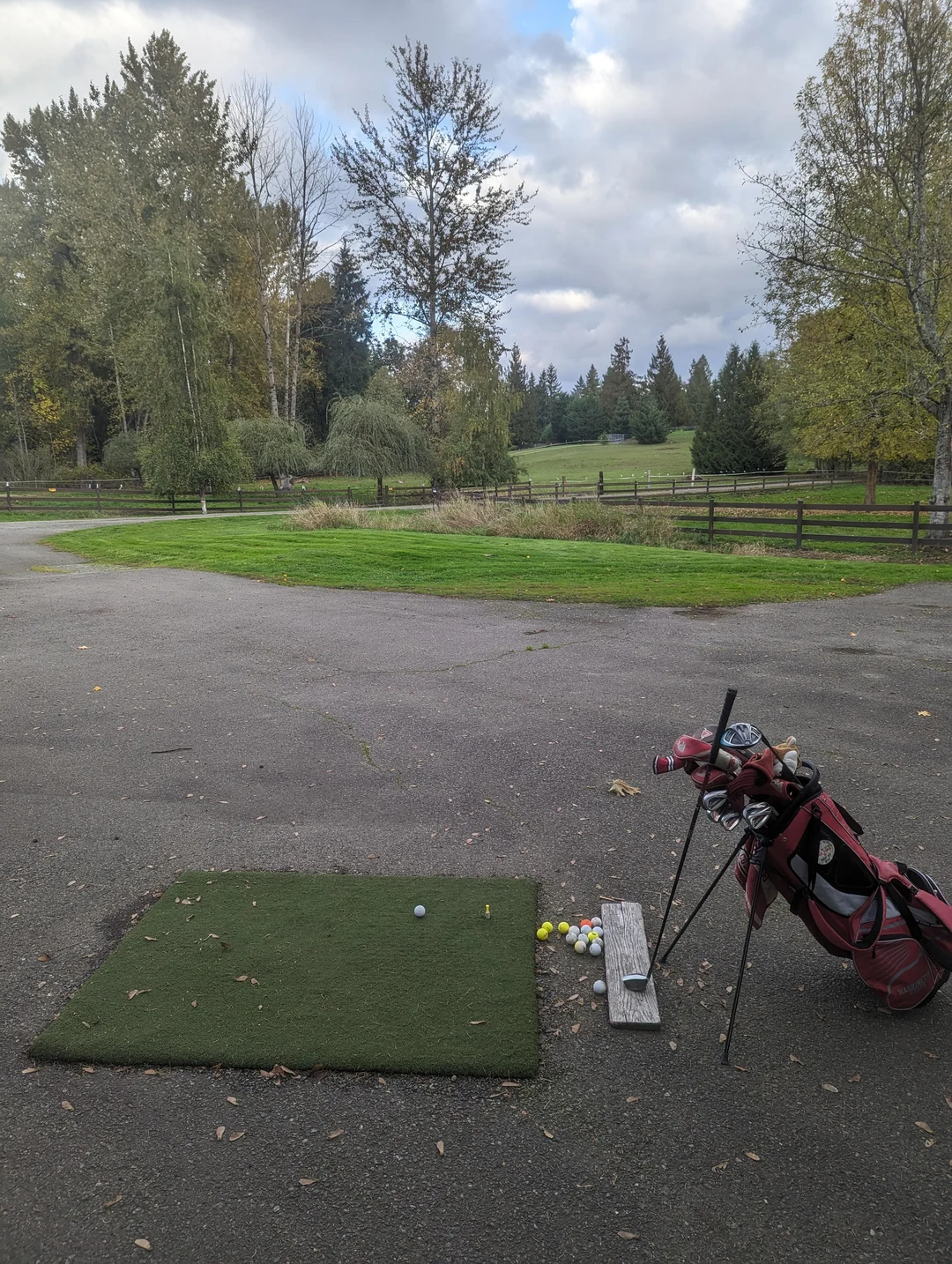 Here's my home driving range | Scrolller