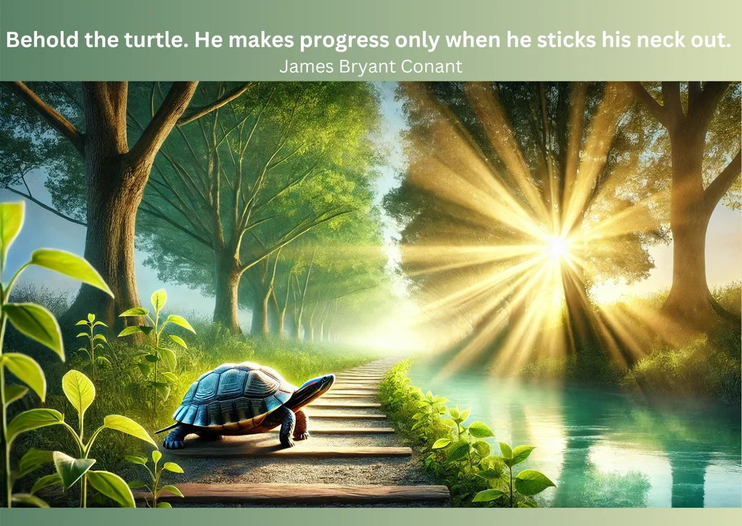 Behold the turtle. He makes progress only when he sticks his neck out. | Scrolller