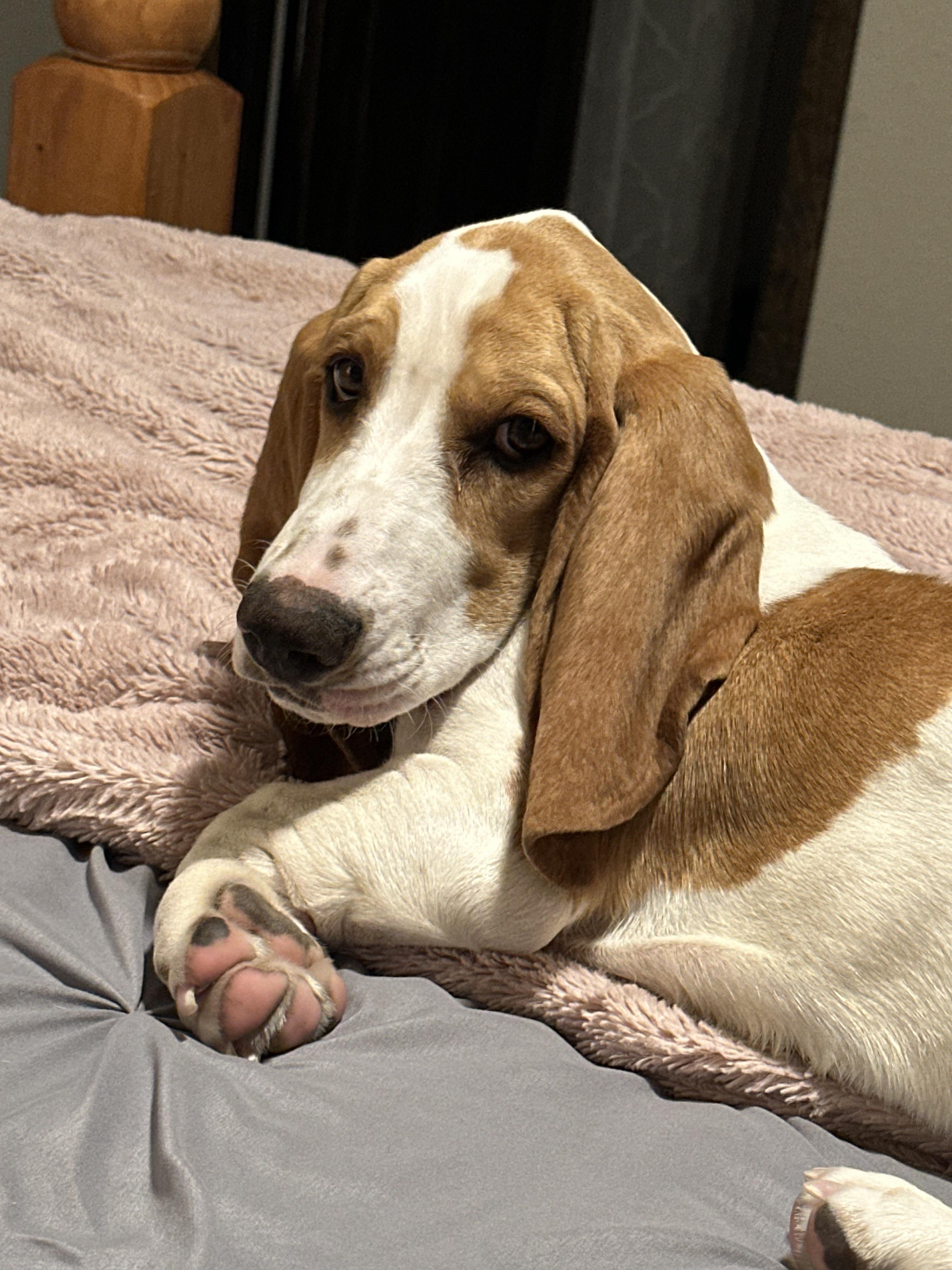 Potty Training Troubles | Scrolller