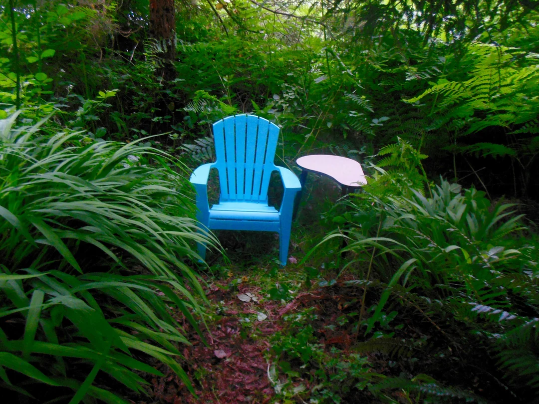 been working on getting my little redwood forest in my back yard into shape. | Scrolller