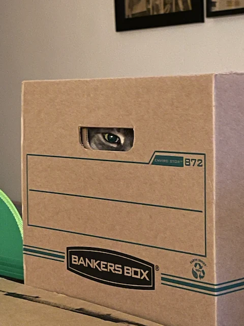 Constant vigilance | Scrolller