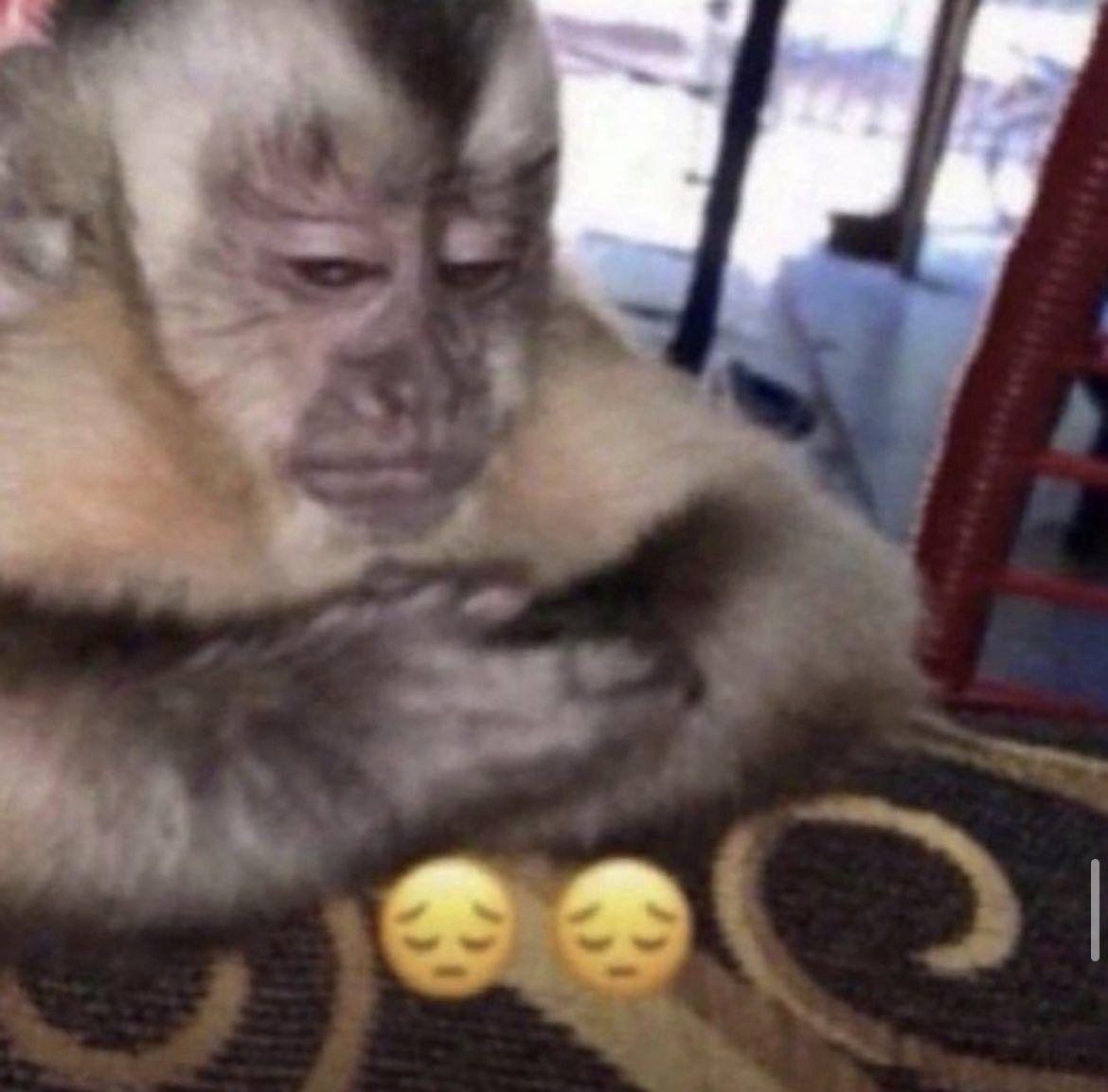 Goodbye. | Scrolller