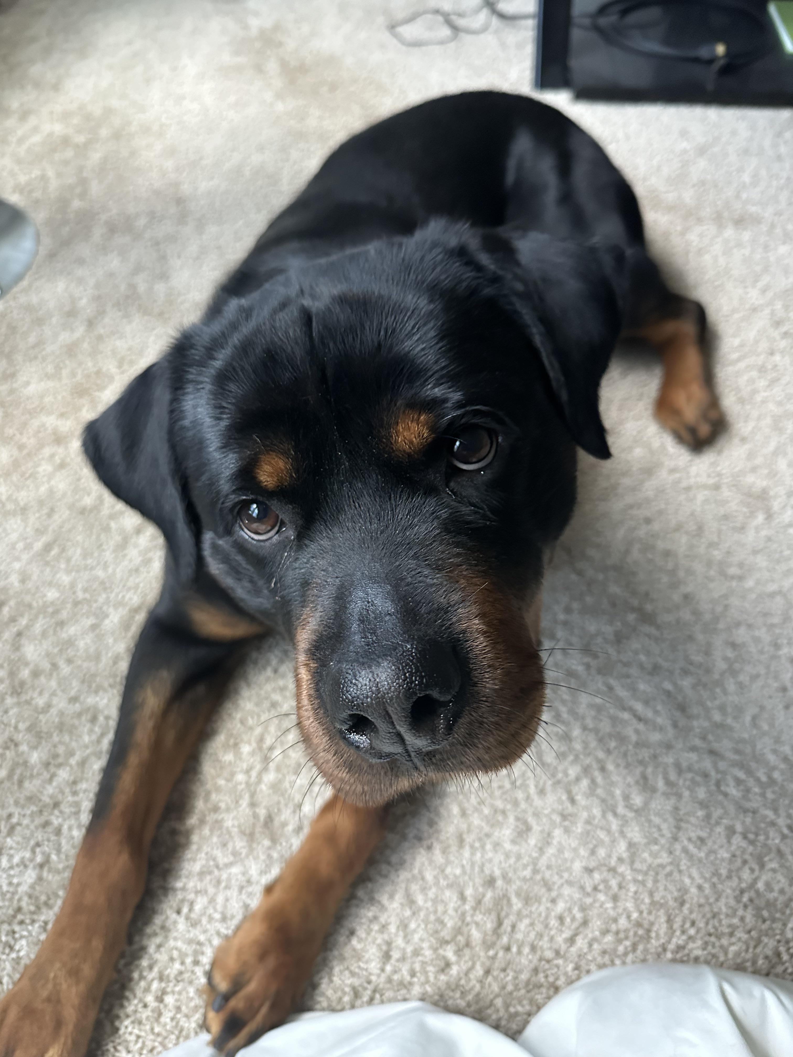 Very confused | Scrolller