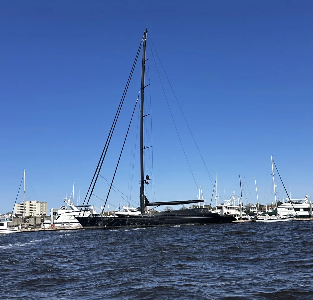 Any info? | Scrolller