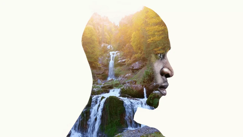 Stoic Springtime | Scrolller