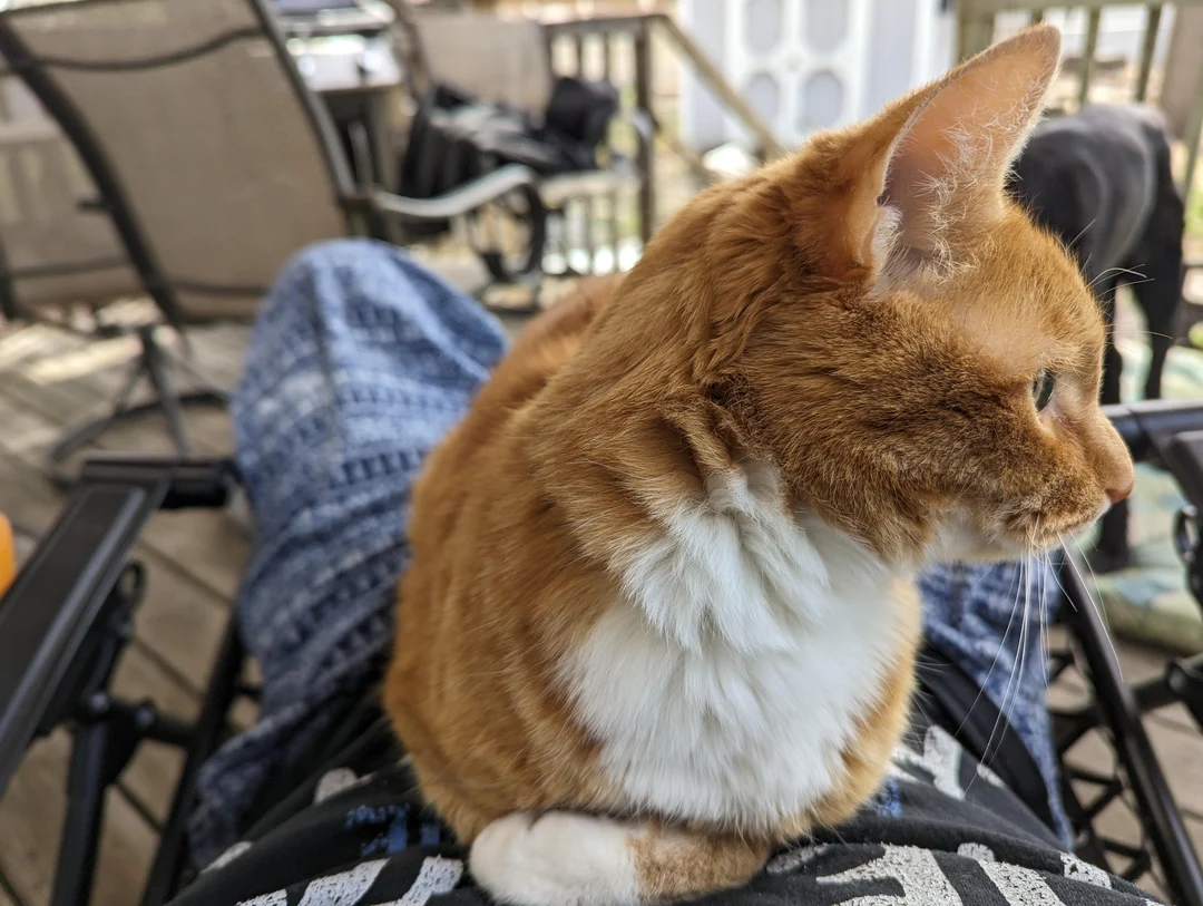 Perfect golden brown loaf | Scrolller