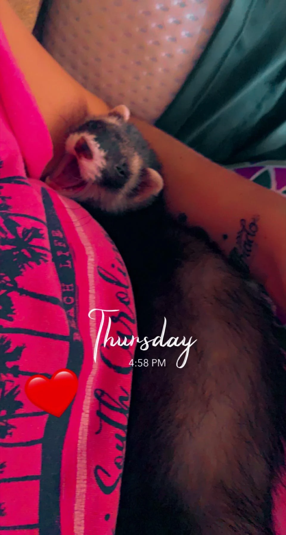 So cuddly 🥰😌🙂 | Scrolller